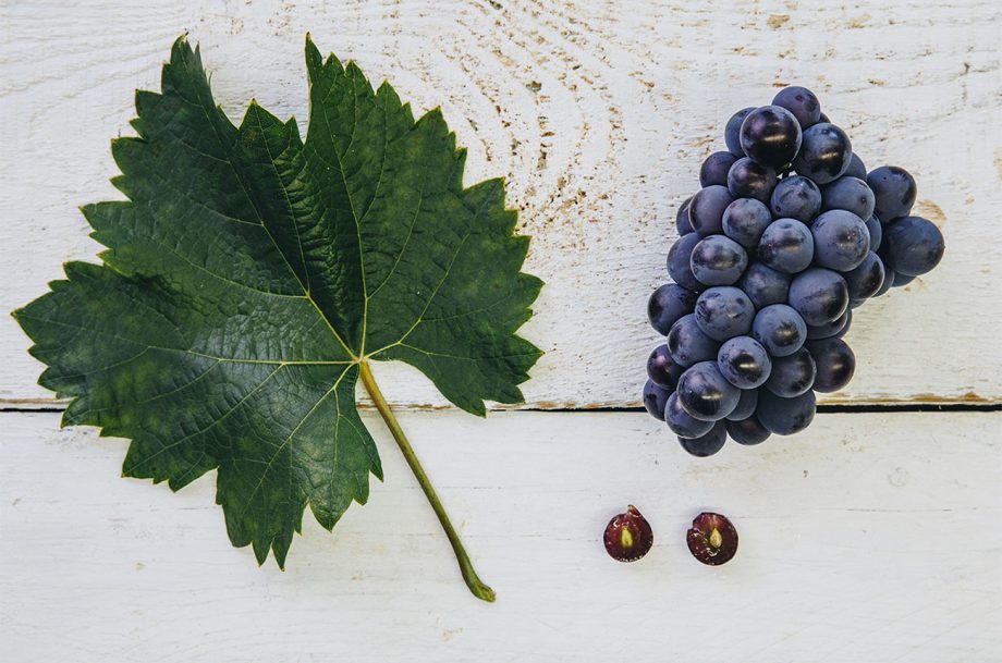 Beyond Furmint: Hungary's other key grape varieties - Decanter