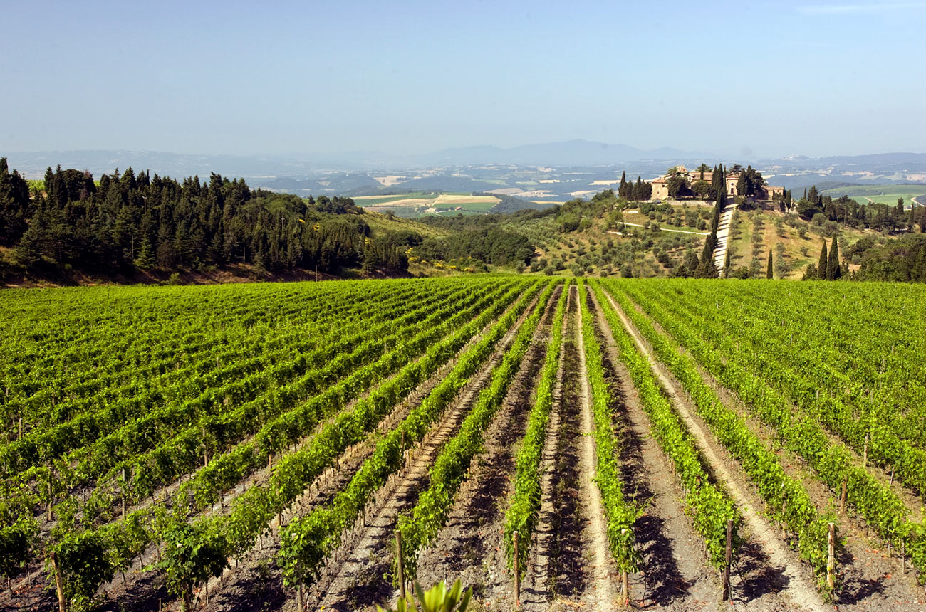 Frescobaldi wine: 30th-generation winemaking - Decanter