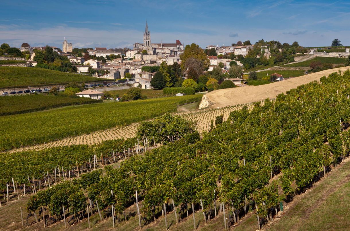 Best St-Emilion 2020 wines tasted en primeur - Decanter