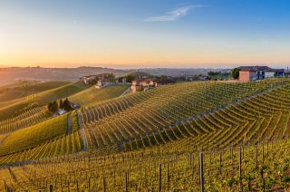 Barbaresco 2018 vintage report: 40 wines tasted - Decanter