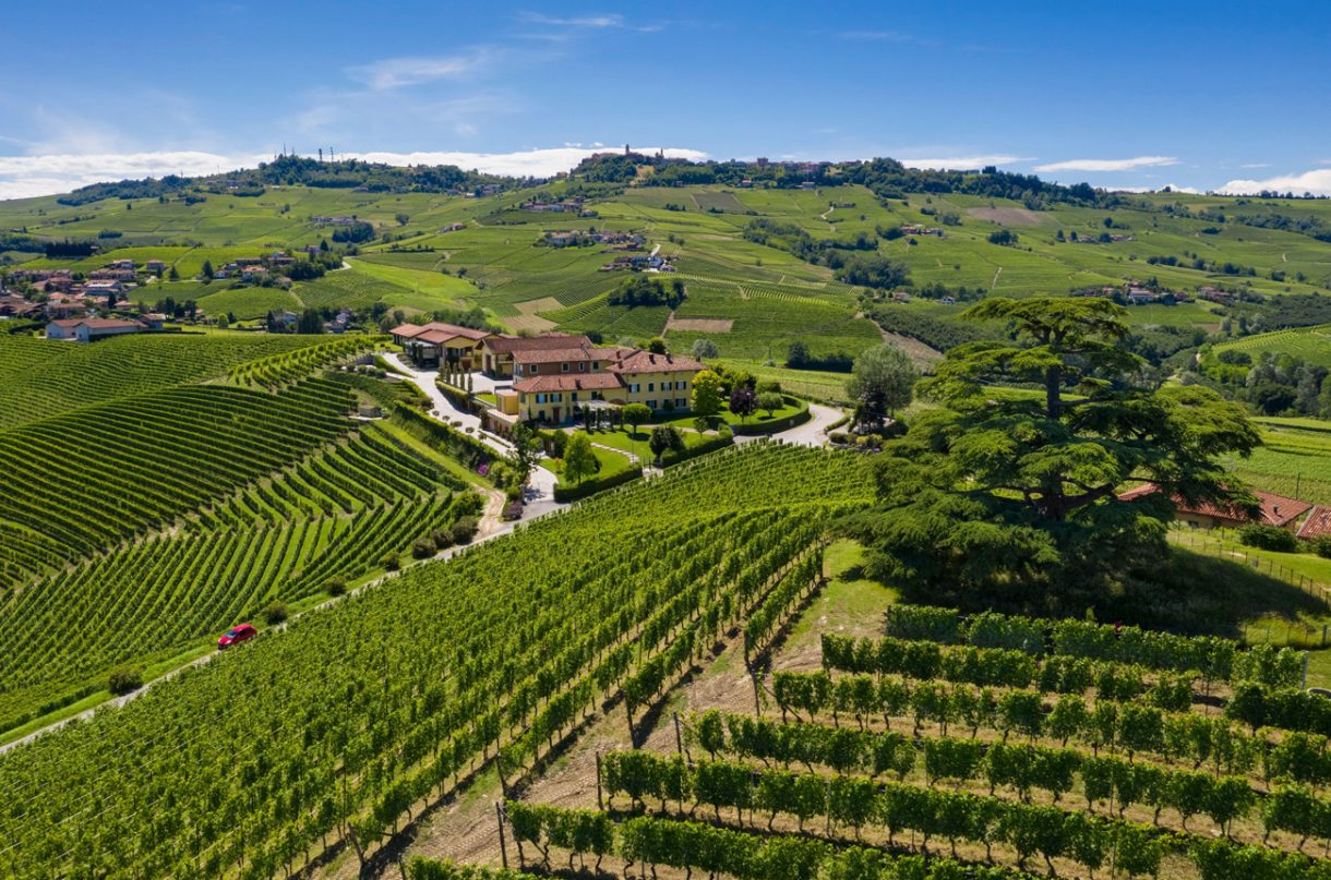 Barolo wine region