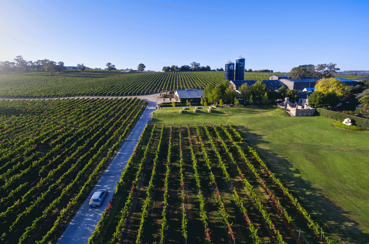 Adelaide Hills value: the best wines to buy - Decanter