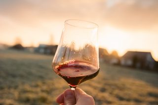 Light-bodied Italian red wines: 10 top bottles worth seeking out - Decanter