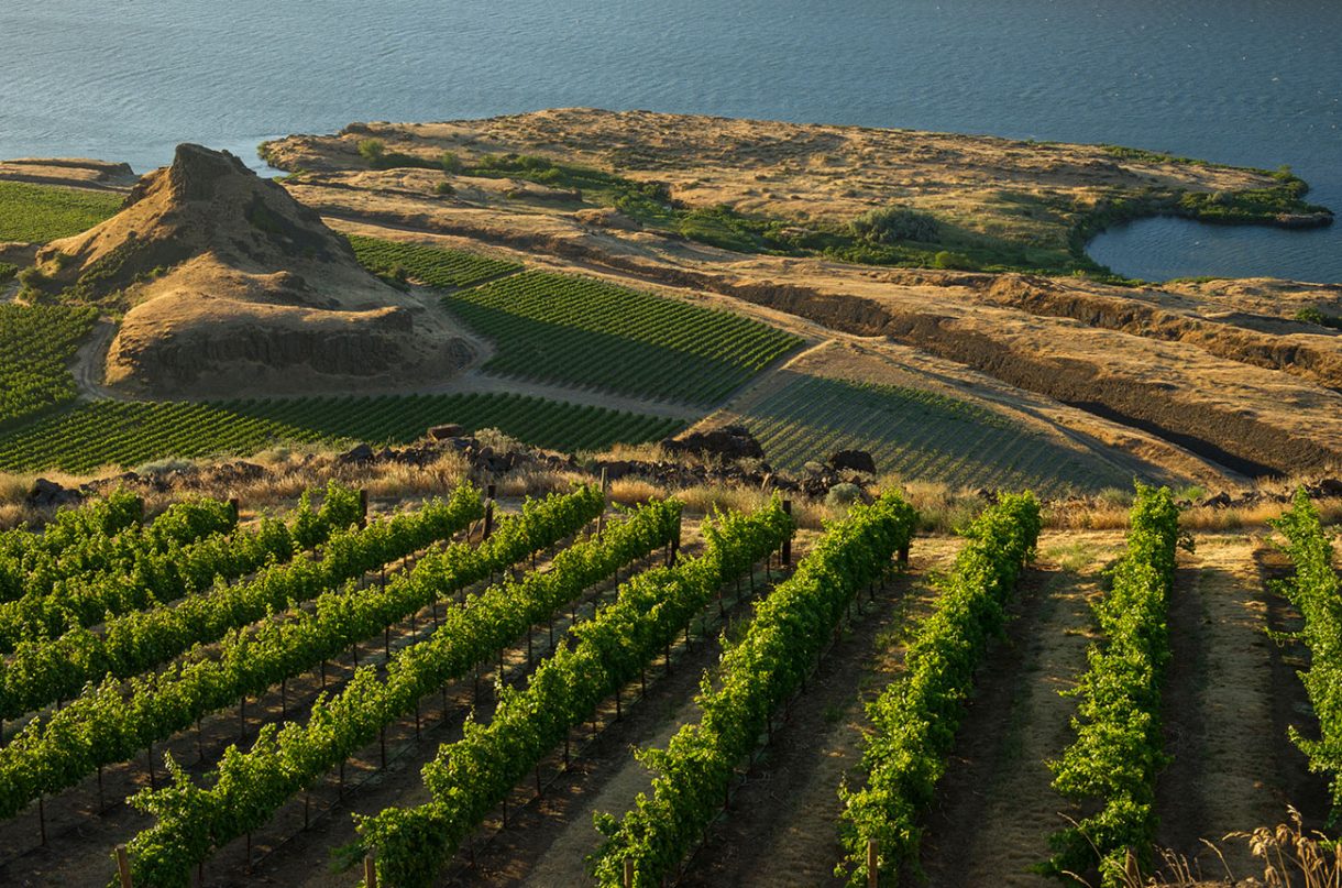 Washington 2018 reds: top-scoring wines from Columbia Valley - Decanter