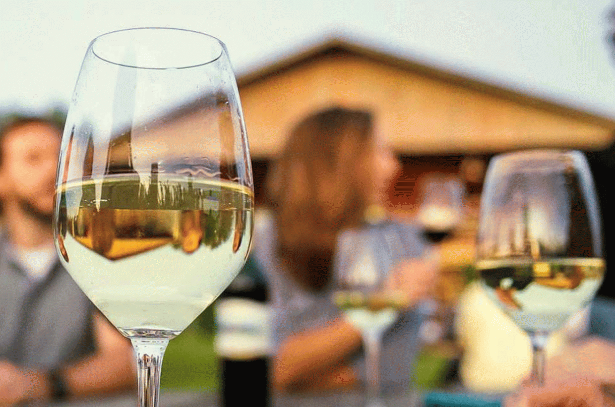 Finger Lakes: FLXcursion 2021 International Riesling Expo - Decanter