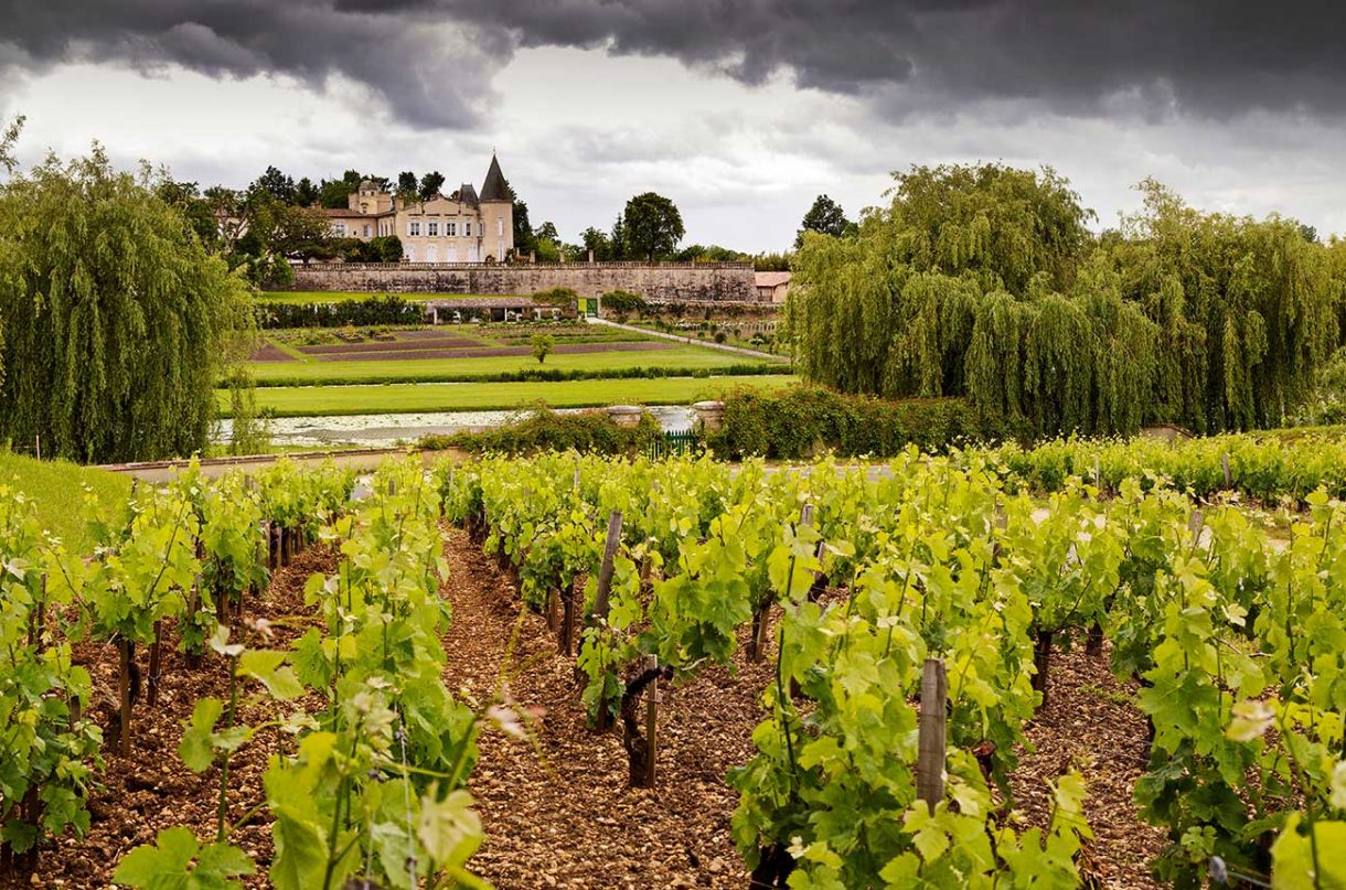 Lafite leads top traded fine wines on Liv-ex in 2021 so far - Decanter