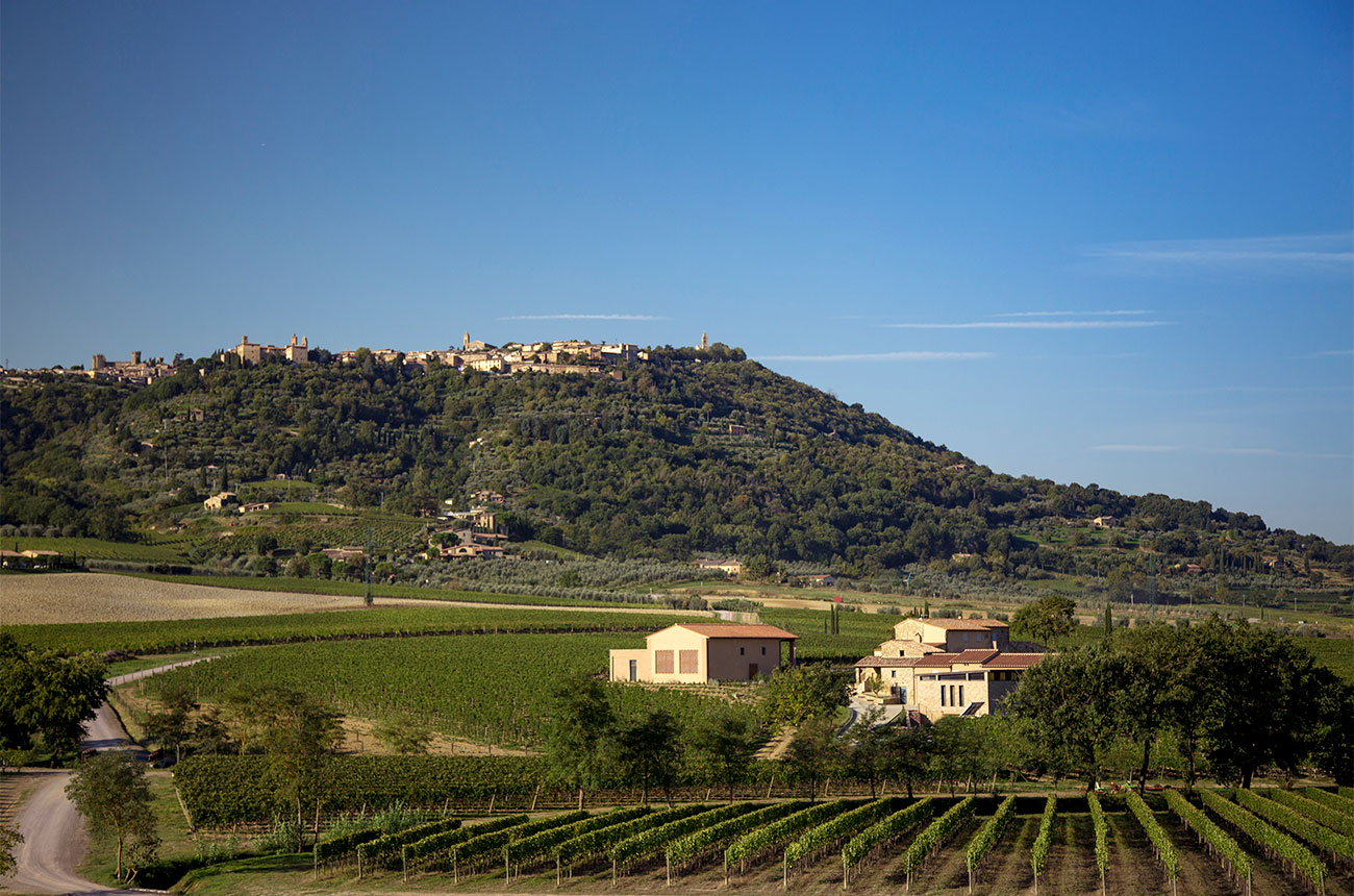 Ridolfi - rising star of Montalcino - Decanter