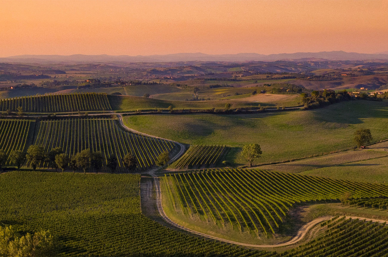 Ridolfi - rising star of Montalcino - Decanter
