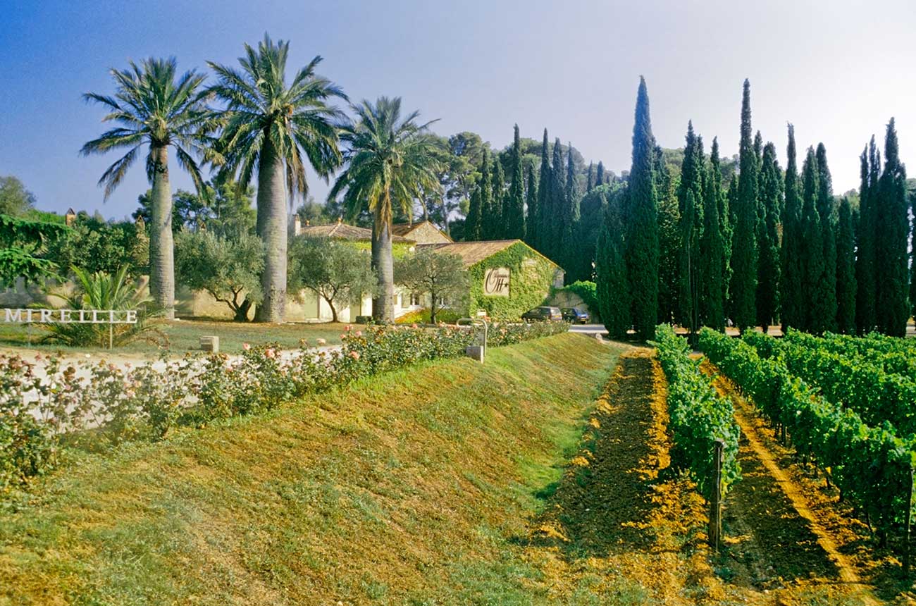 Domaines Ott: Provence rosé wine royalty - Decanter