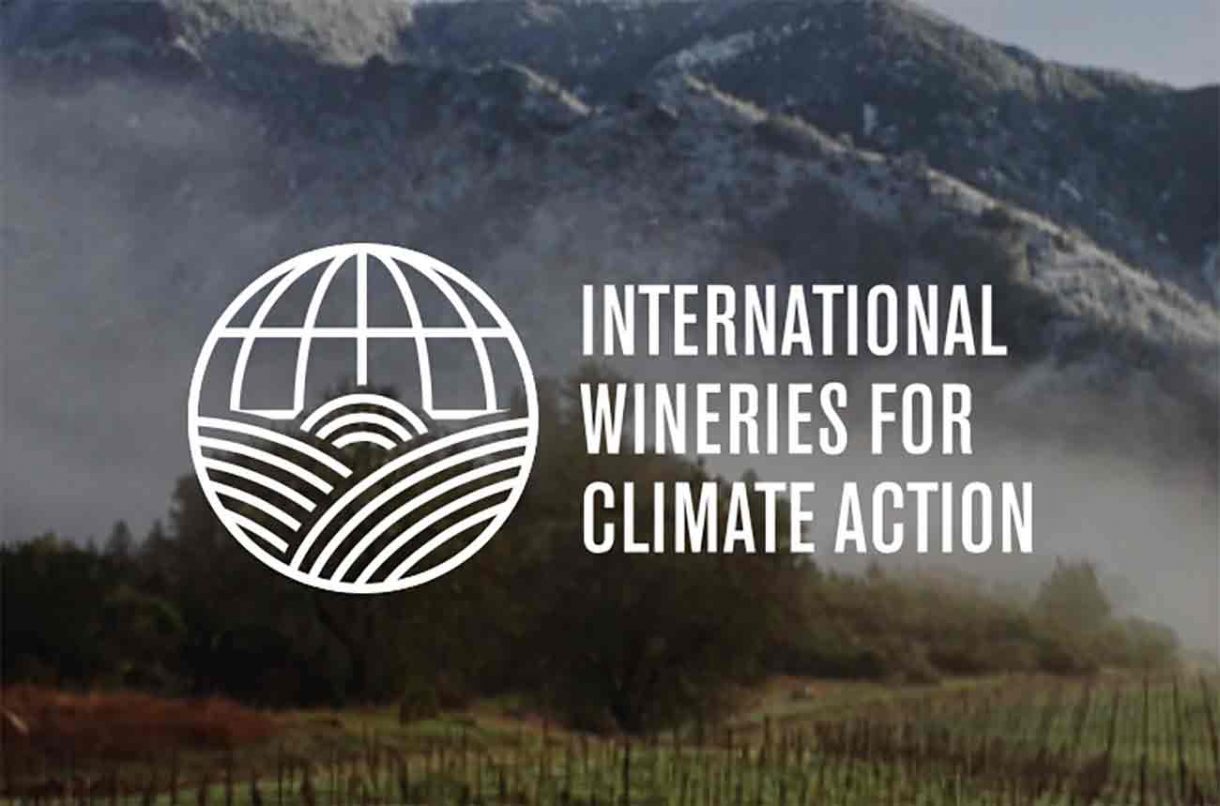 A dozen leading producers join IWCA - Decanter