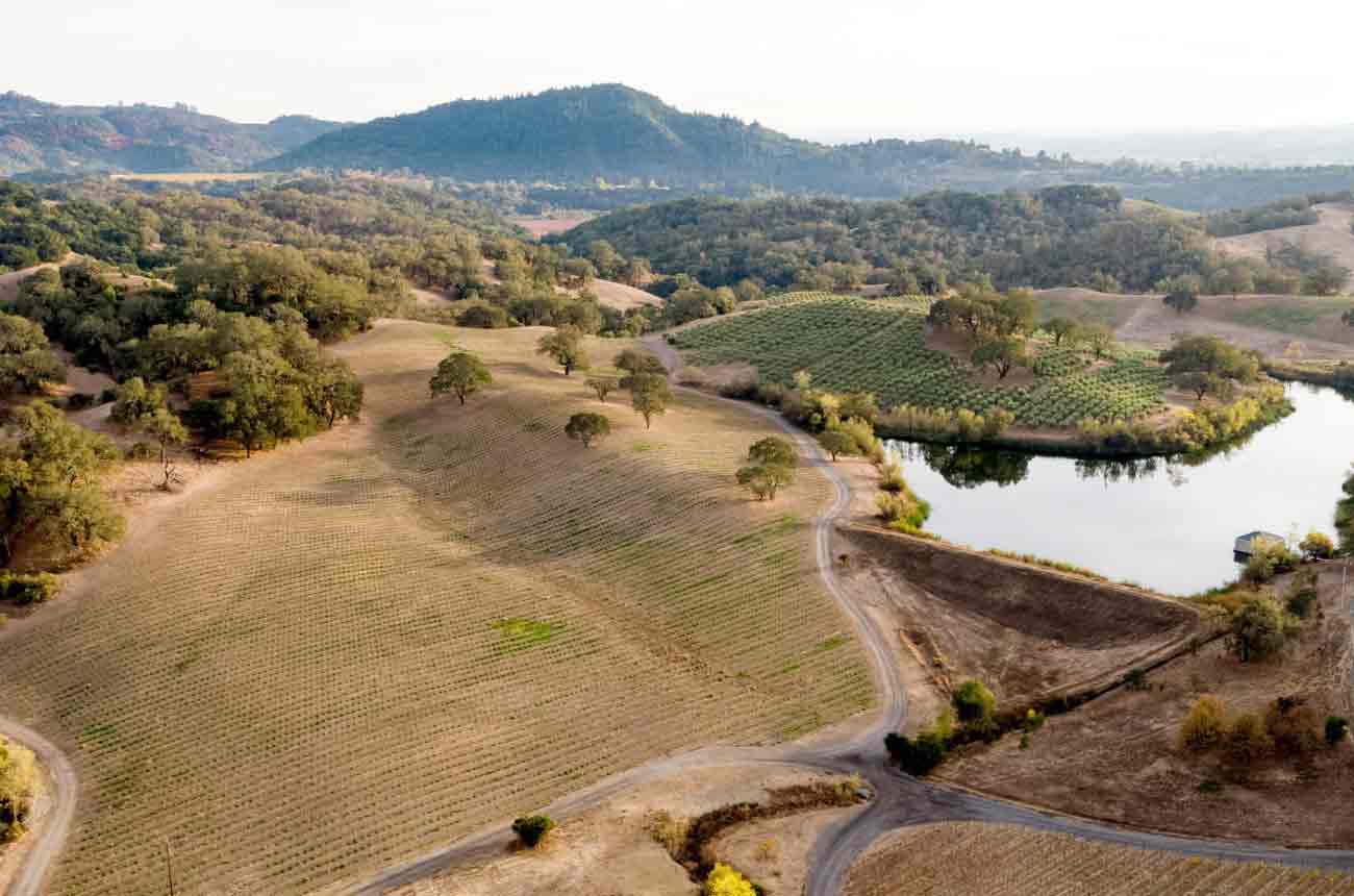 Jordan Vineyard & Winery: producer profile - Decanter