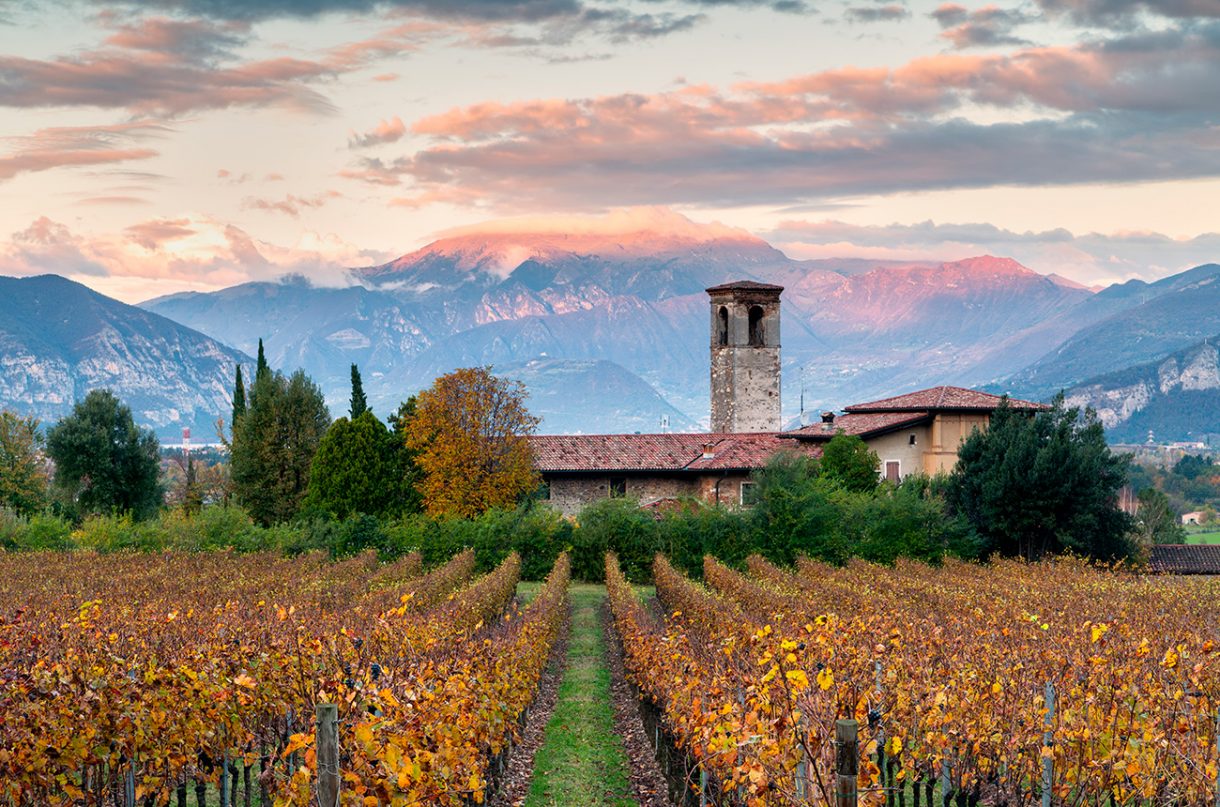 Franciacorta: sustainability is more than a trend - Decanter