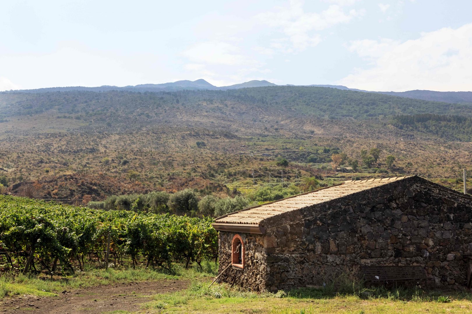 Duca di Salaparuta: the history of Sicilian wine in three estates ...