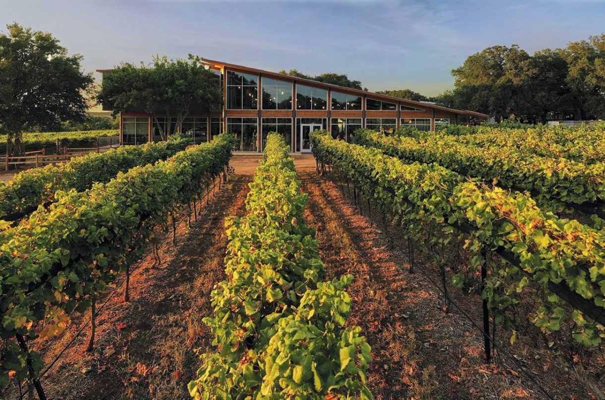 Texas wine: travel guide plus 10 top bottles worth seeking out - Decanter