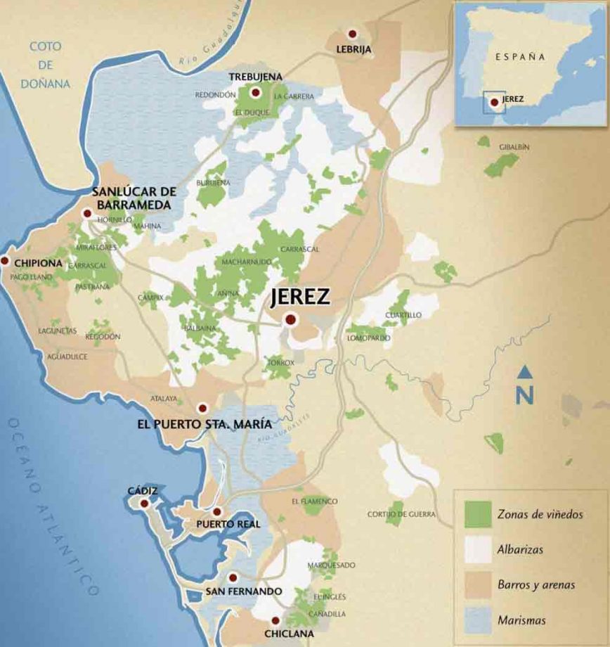 Sherry DO regulations to see major changes - Decanter