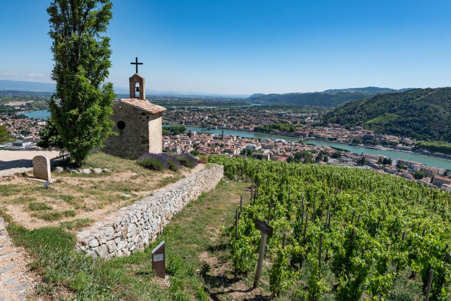 Rhône Valley Wine Tour with Matt Walls - Decanter