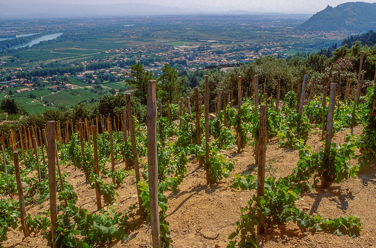 Rhône Valley Wine Tour with Matt Walls - Decanter