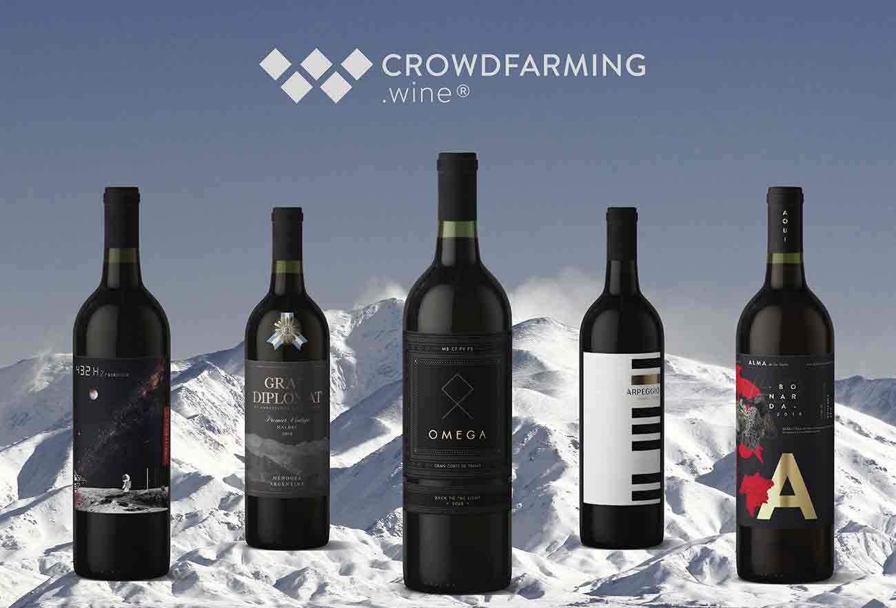 Crowdfarming.Wine: Realising the dream of your own wine business - Decanter