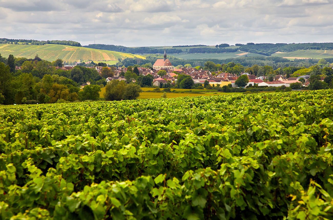 AOP Chablis 2020: top-scoring wines - Decanter