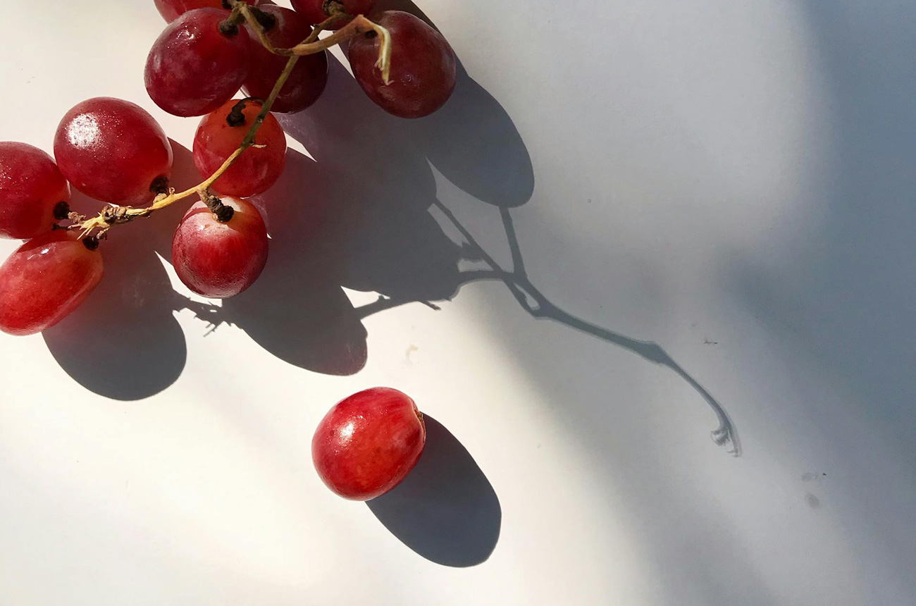 Tannins – What are they and what do they do? - Decanter