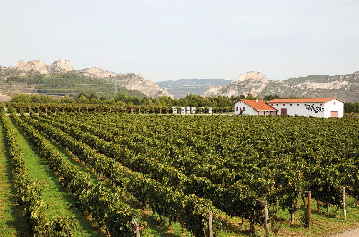 The diversity of Rioja in six wines - Decanter
