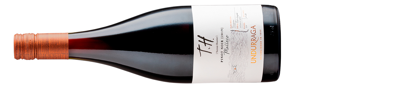 Top value: 95+ point wines under £15 - Decanter