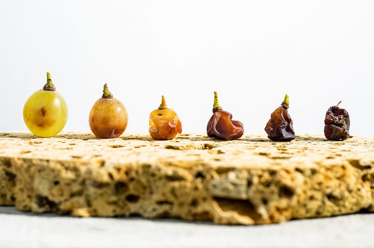 What's the difference between Sauternes and Tokaji Aszú? – Ask Decanter ...