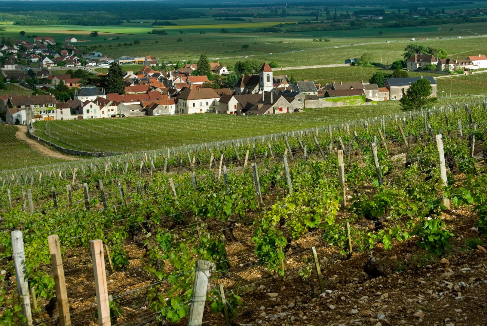 Top Morey-St-Denis 2020 en primeur wines - Decanter