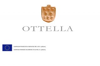 Ottella: ambassadors of Lugana in the world - Decanter