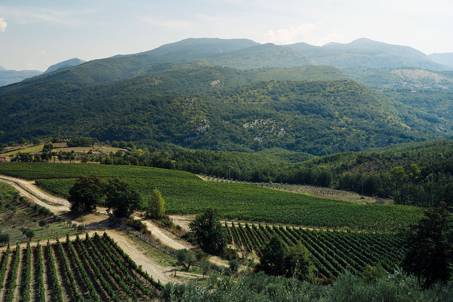 San Salvatore 1988: From Magna Grecia to the heart of Italy, where time ...