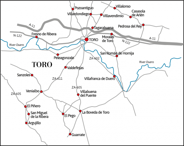 Toro: Independent spirit and elegant strength - Decanter