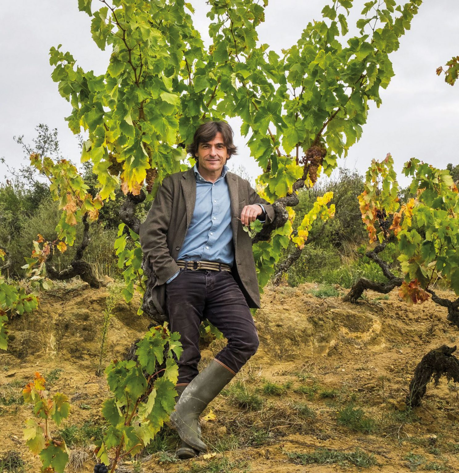 The diversity of Rioja in six wines - Decanter