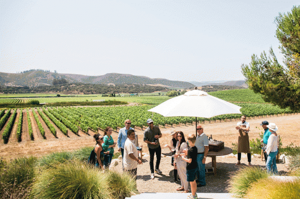Santa Ynez Valley for winelovers: where to visit, eat and drink - Decanter