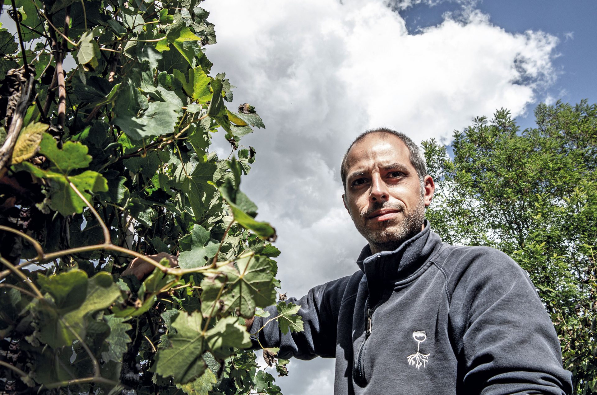 Italy's top wine consultants: the names and wines to know - Decanter