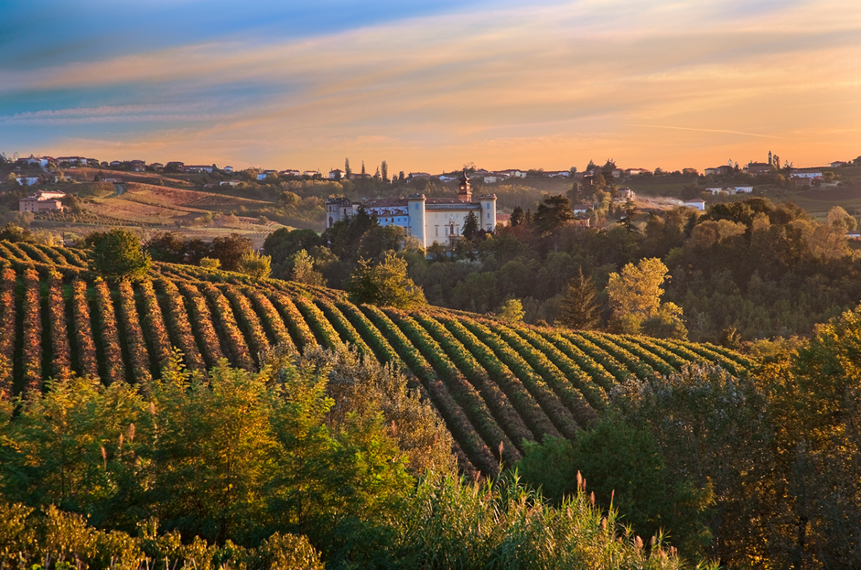 Exploring Monferrato plus six wines worth seeking out - Decanter