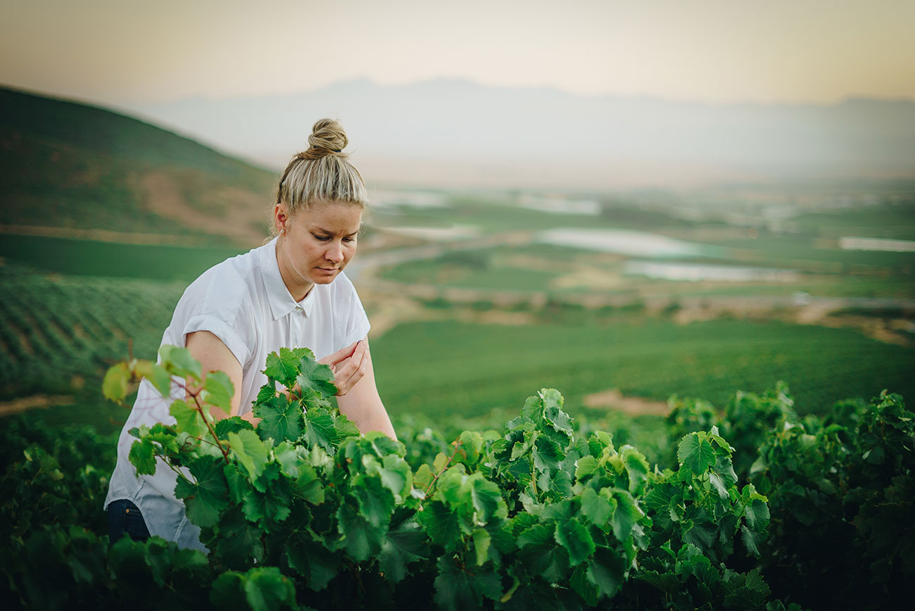 Women Winemakers: celebrating their talent and character - Decanter
