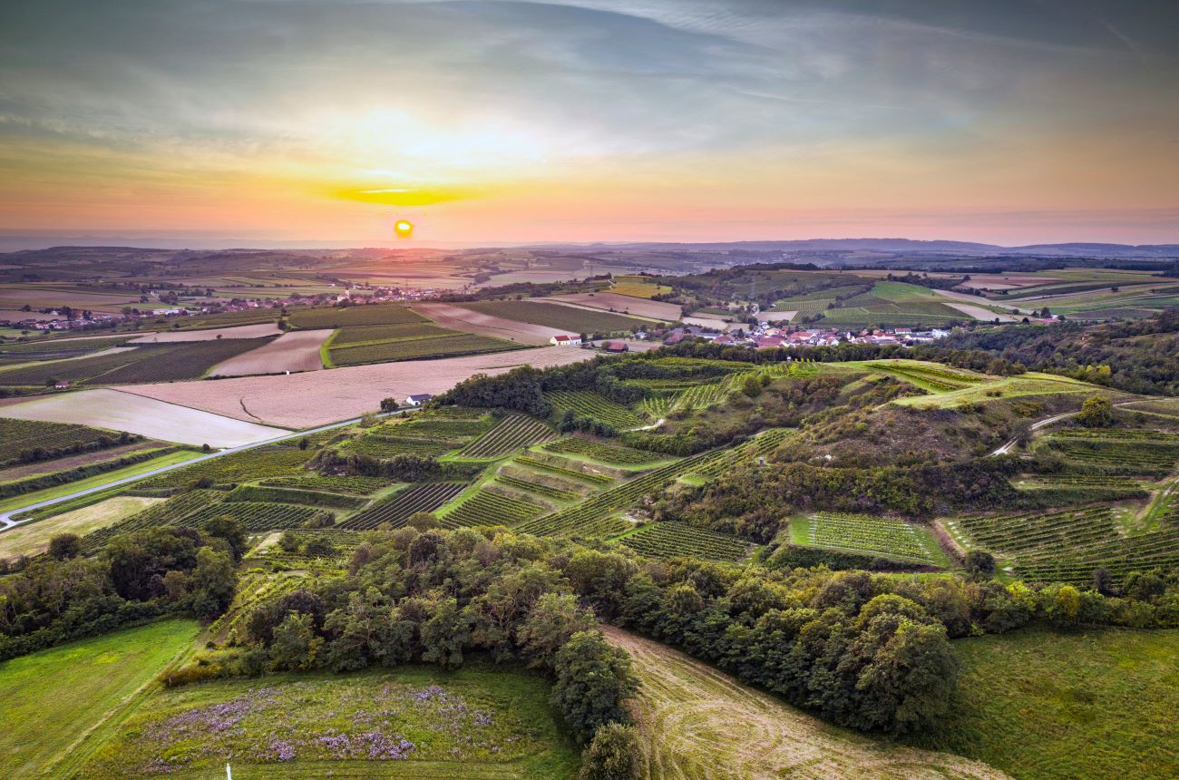 Austria’s Wagram region granted DAC status - Decanter