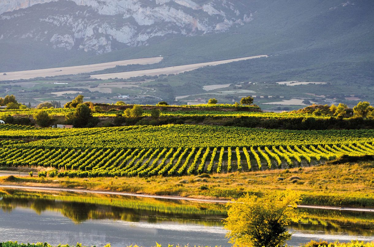 Ultimate Rioja: Excellence rooted in tradition; elegance born of ...