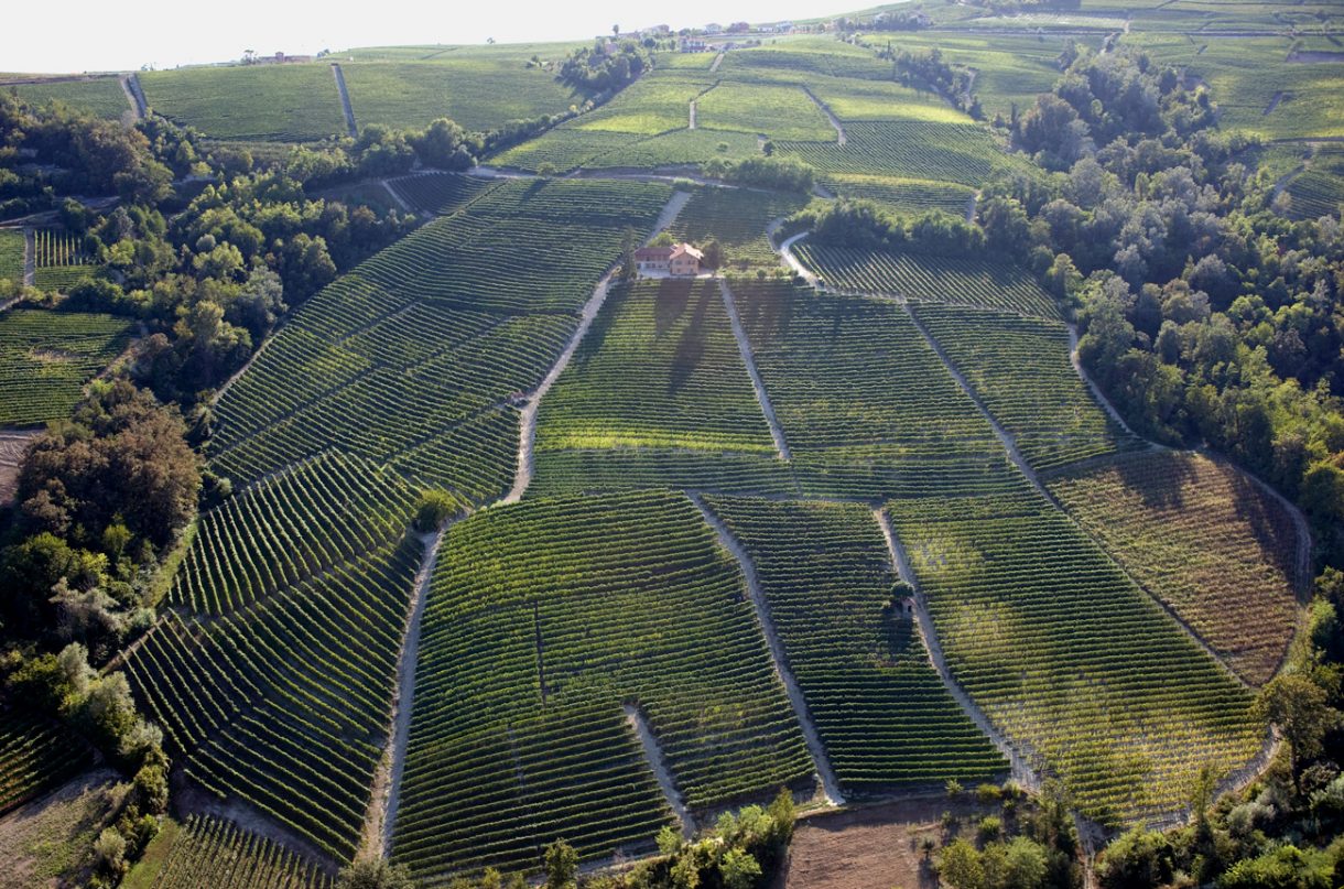 Borgogno's makeover: A decade of change - Decanter