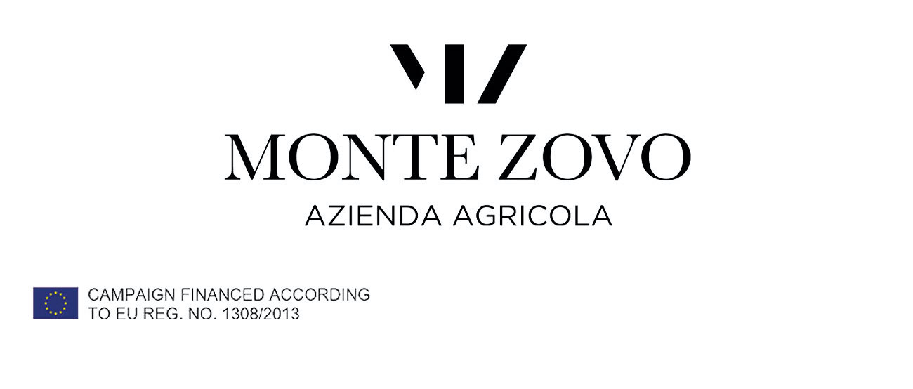 Monte Zovo Amarone - Decanter