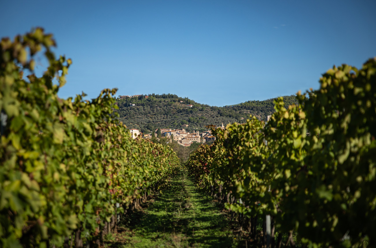 Suvereto Regional Profile Names To Know Decanter Flipboard suvereto-regional-profile-names-to-know-decanter-flipboard