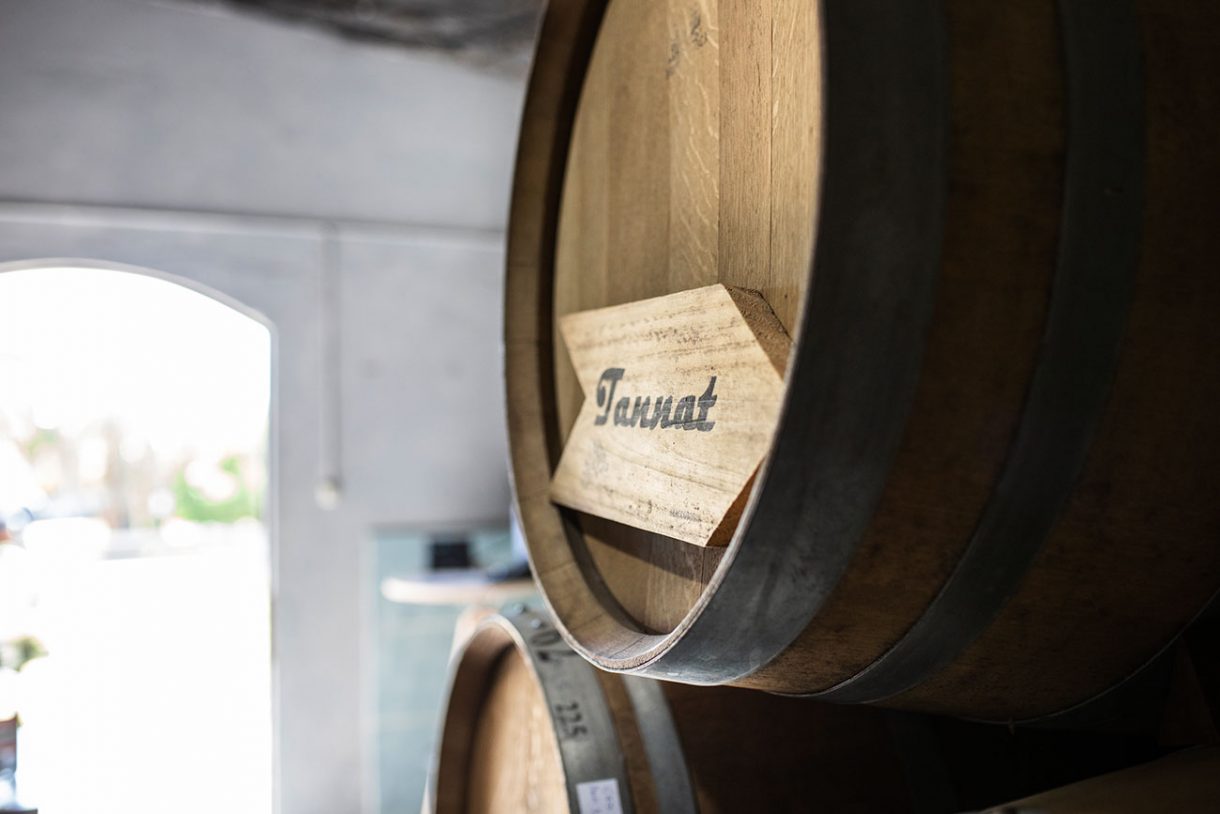 Celebrating Tannat Day - Decanter