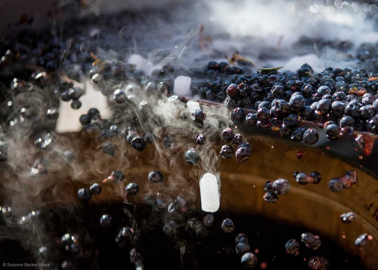 Errazuriz Wine Photographer of the Year 2022 revealed - Decanter