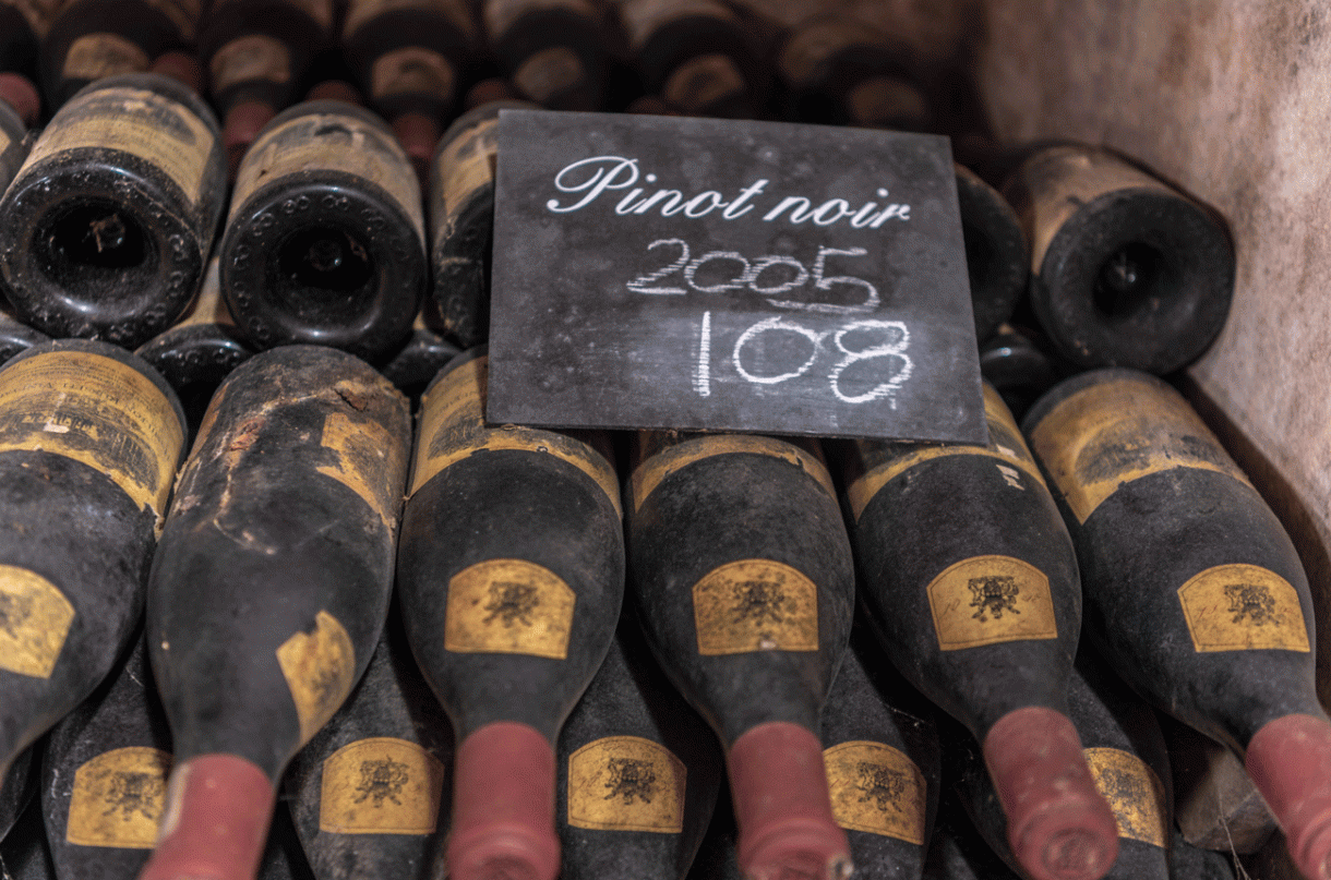 Hamilton Russell Pinot Noirs: 1981 to 2021 - Decanter