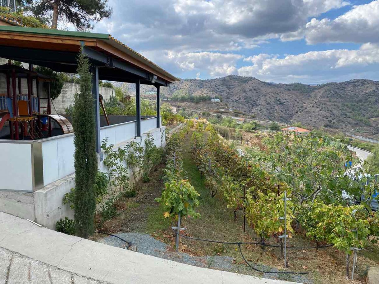 Cyprus travel guide: restaurants, wineries and hotels - Decanter