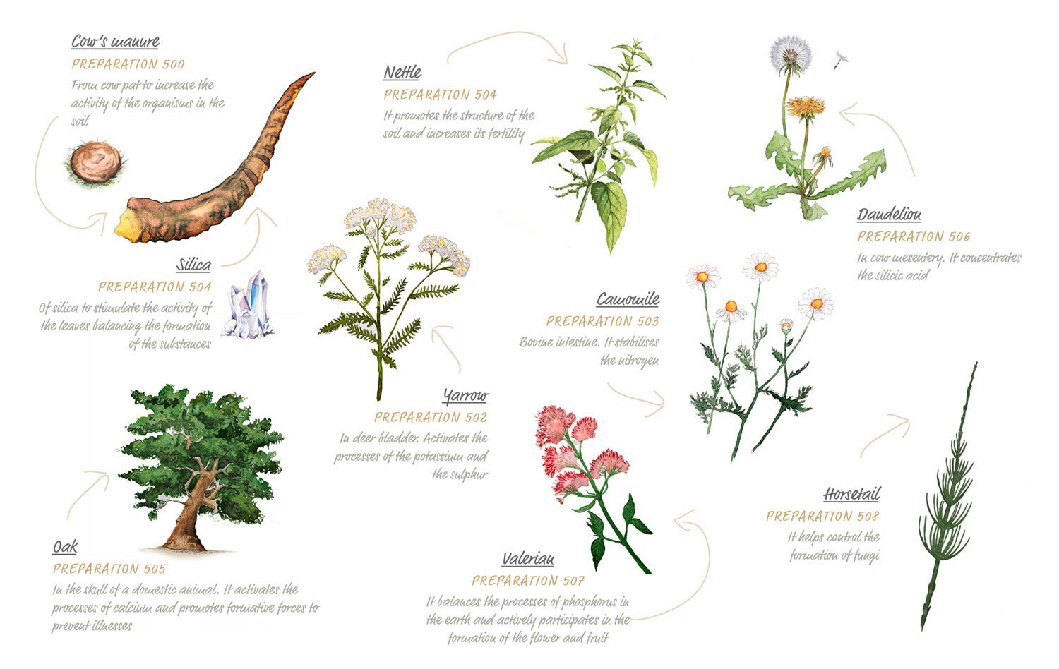 Sustainability in wine explained - Decanter