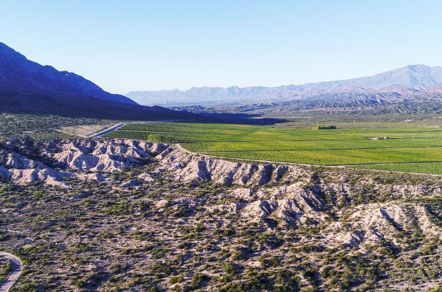 Pyros Wines - naturally unique - Decanter