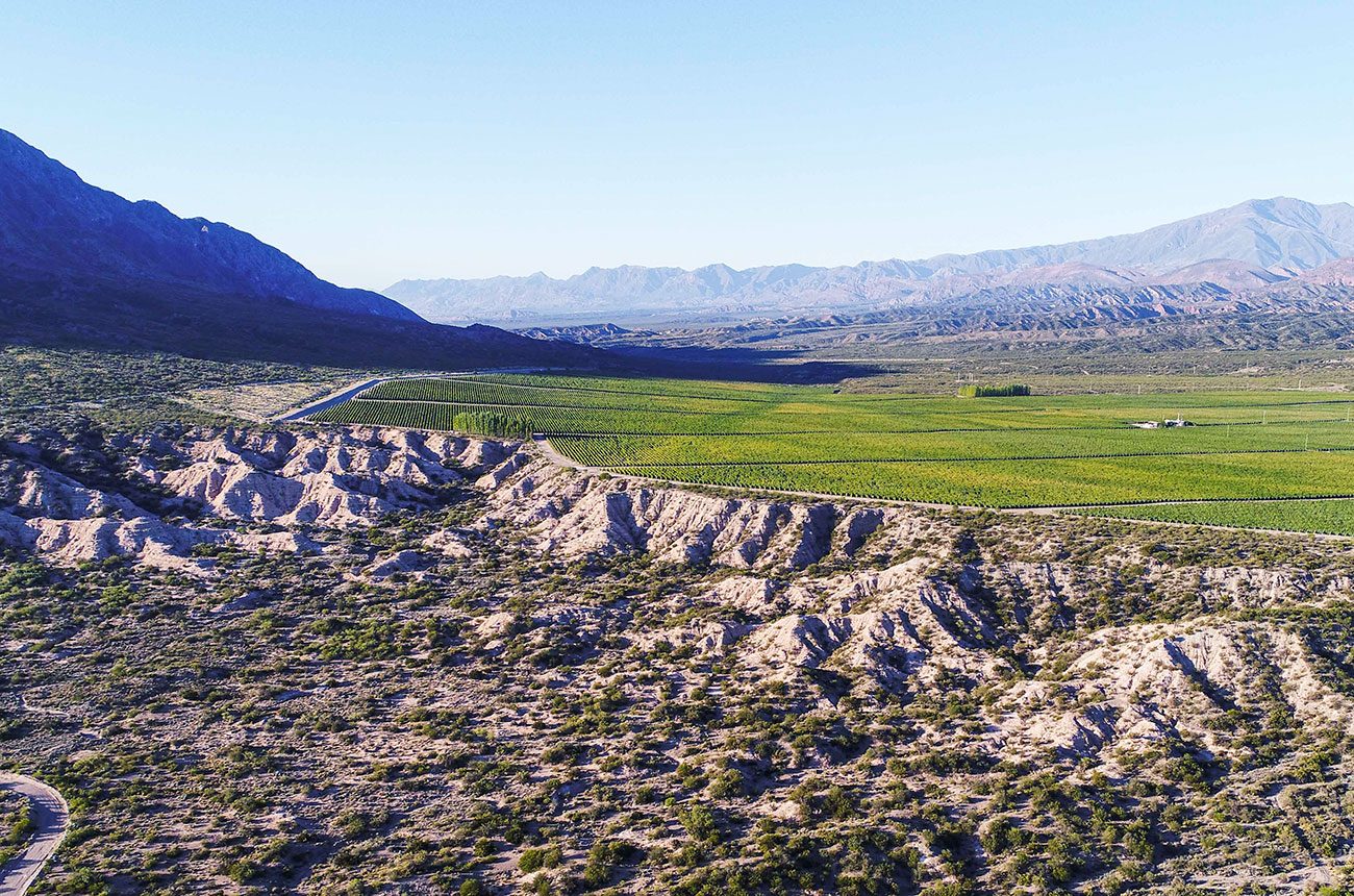 Pyros Wines - naturally unique - Decanter