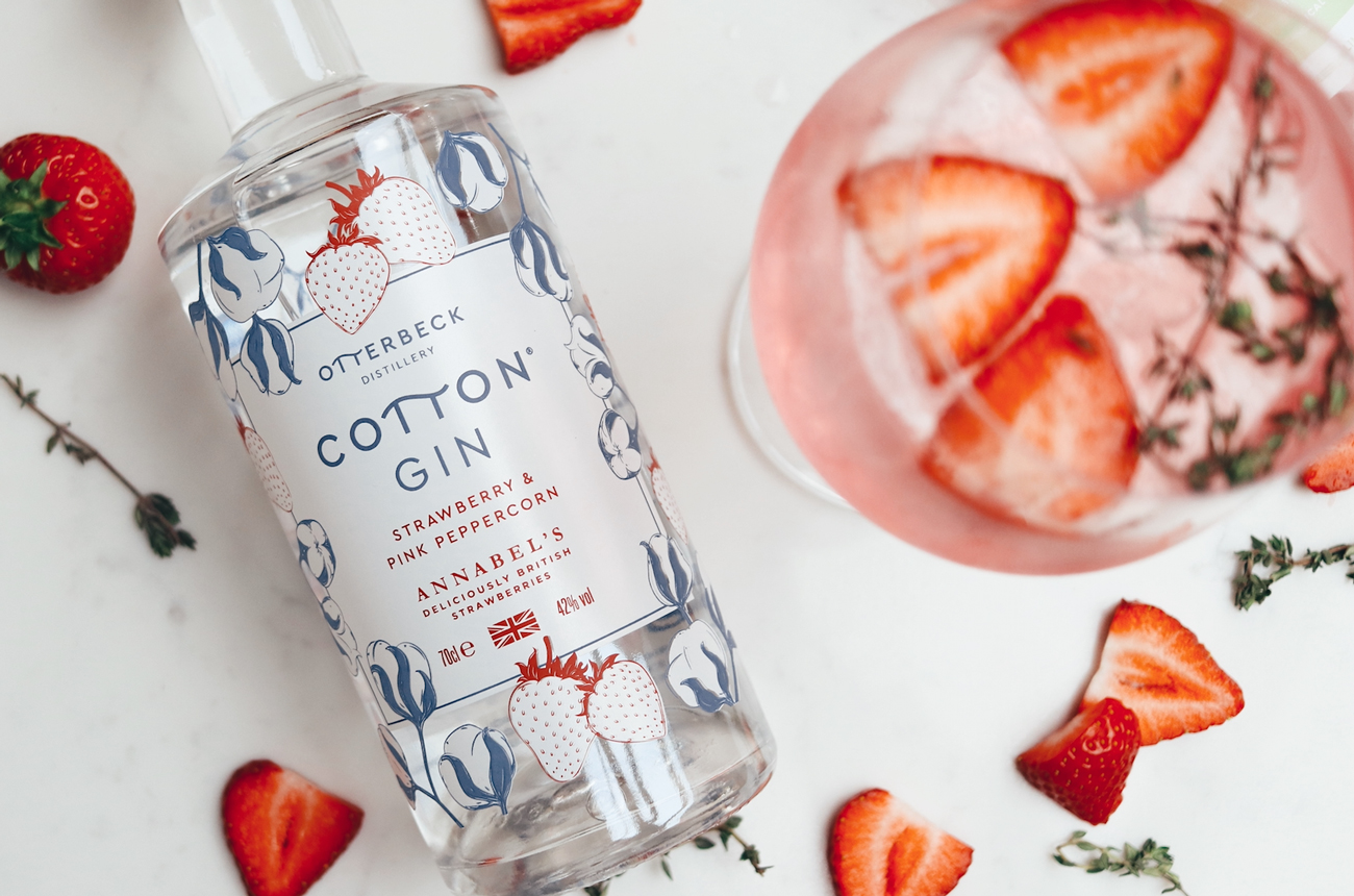 Best flavoured gins: eight to try - Decanter