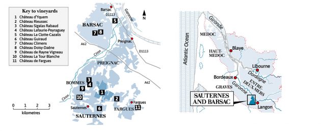 A wines lover's guide to Sauternes - Decanter
